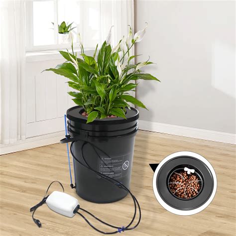 Recirculating Hydroponic System