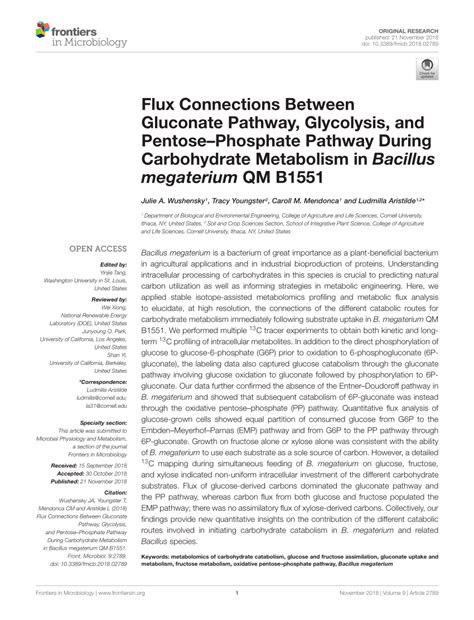 Pdf Flux Connections Between Gluconate Pathway Glycolysis And