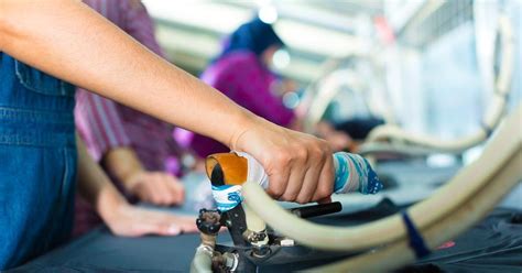 Eu Corporate Sustainability Due Diligence Csdd Directive Policy Report Pri Eu Corporate Sustainability Due Diligence Csdd Directive Policy Report Pri