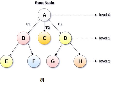 树 数据结构 教程 BootWiki