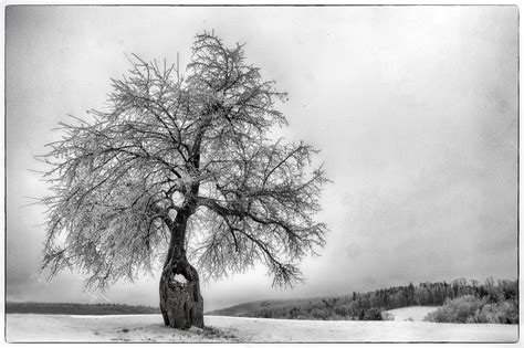 Ice Storm Noa Gallery