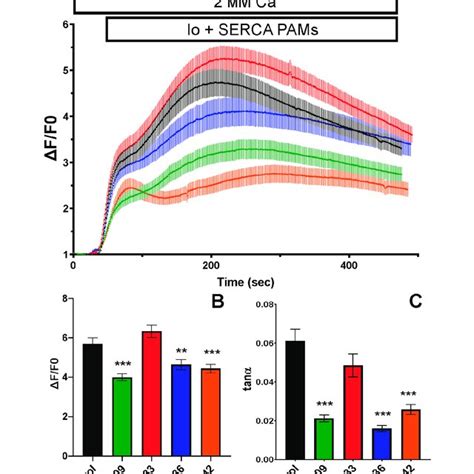 Serca Pams Increased The Rate Of Calcium Extraction From The Cytoplasm
