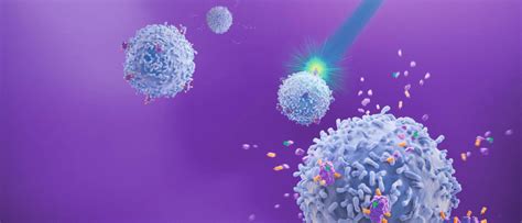 Standardized And Automated Workflows In Flow Cytometry Kick Start Your