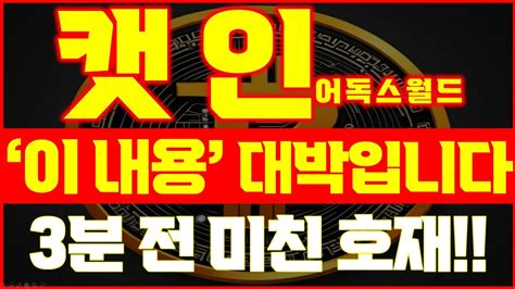 캣인어독스월드 코인 전망 🔥단독 특보🔥유튜브에서 저만 공개하는 이 내용🔥3분 전에 터진 미친 호재입니다🔥 Youtube