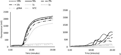 Figure 1 From Factors Influencing Recombinase Polymerase Amplification Rpa Assay Outcomes At