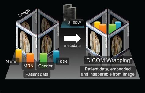 A Simplified View Of “dicom” Wrapping As Used By The Enterprise Data Download Scientific