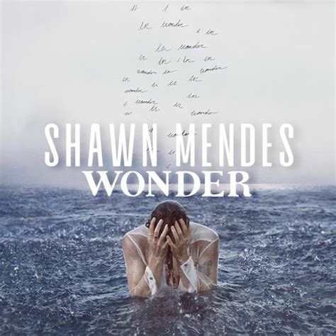 Shawn Mendes Albums Ranked Return Of Rock