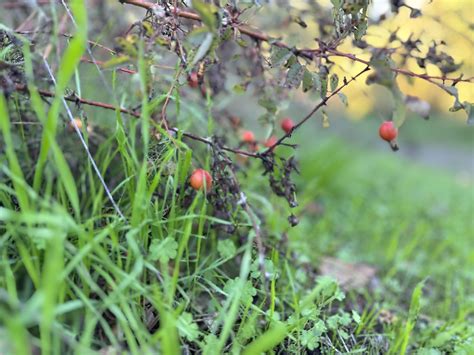 Photography Class Archive 3 Experimenting Jess Rademaker Flickr