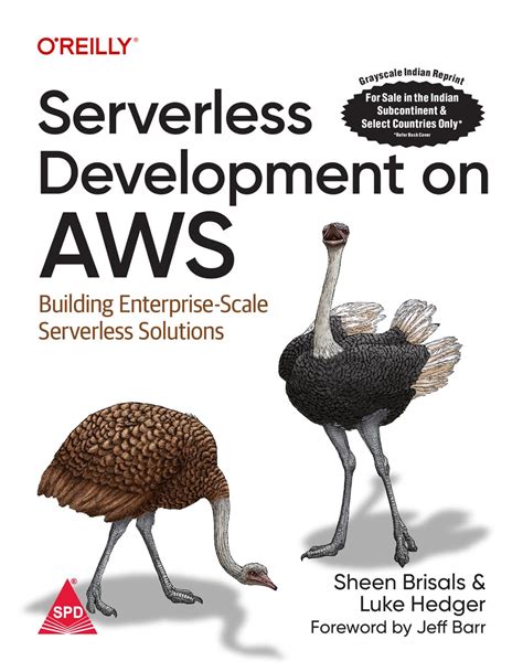 Buy Serverless Development On Aws Building Enterprise Scale Serverless