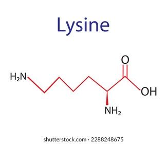Lysine Amino Acid Formula Structure Chemical Stock Vector Royalty Free