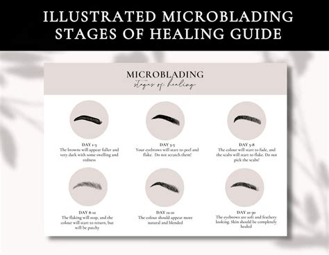 Microblading Stages Of Healing Template Microblading Artist Document