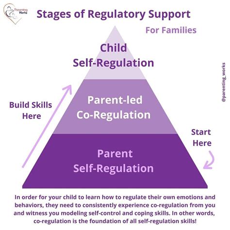 Sheena Hill Sheher On Instagram You May Know That Self Regulation