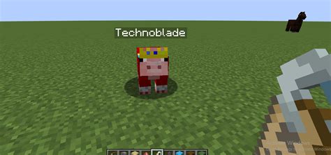 Technoblade Easter Egg Optifine Minecraft Texture Pack