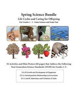 Spring Science Bundle Life Cycles And Caring For Offspring Tpt