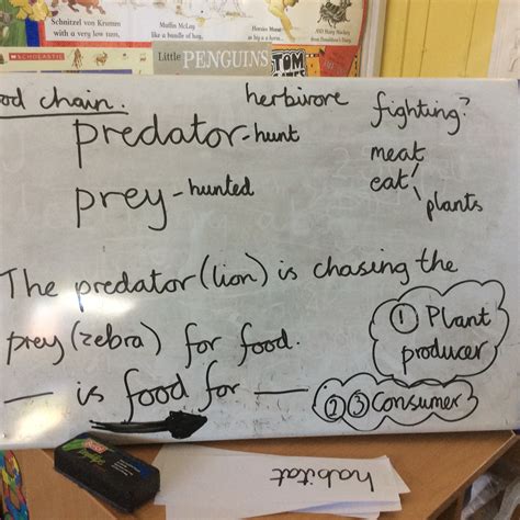 Modelling Some Thoughts On Thinking Aloud Primary Education Network
