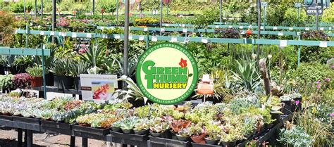 Green Thumb Nursery Sheldon Road At Irene Defilippo Blog