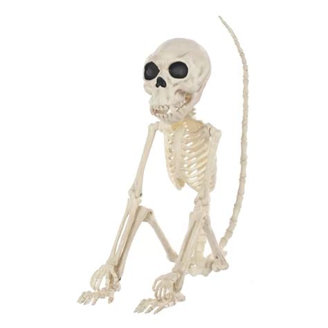 Monkey Skeleton
