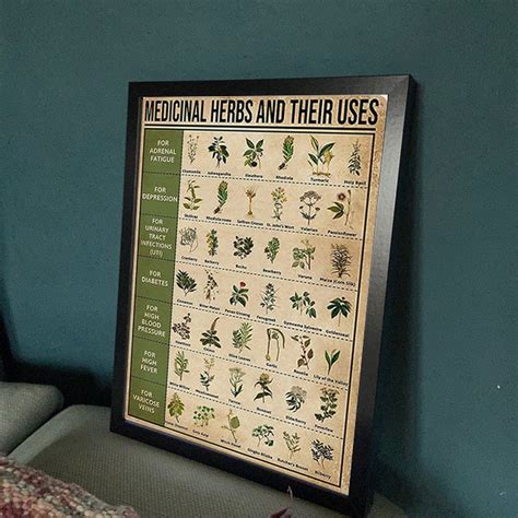 Medicinal Herbs And Their Uses Poster Medicinal Plants Knowledge Poster T Sold By Marvin