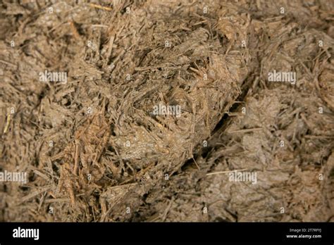 Straw And Mud At Judy Moore Blog