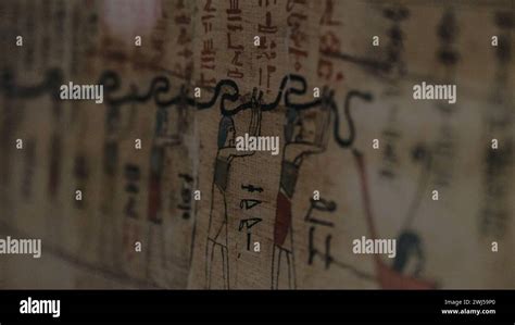 An Ancient Egyptian Papyrus A Symbol Of Historical Significance At The