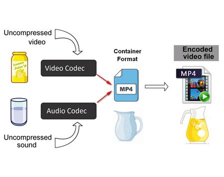 How To Check Video Codec Three Fairly Simple Solutions Right Here