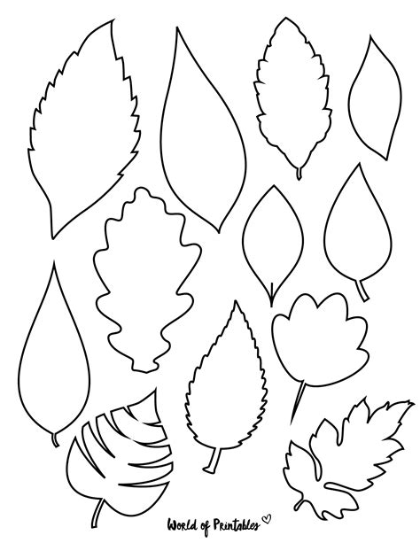 Printable Leaf Outline