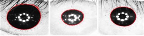 Some Correct Pupil Localization Results 52 Download Scientific Diagram