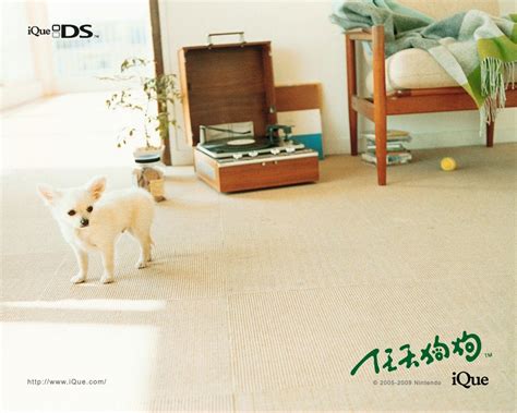 Nintendogs Wallpapers Wallpaper Cave
