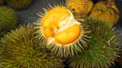Las 10 Frutas Más Exóticas Y Ricas Del Mundo Infobae