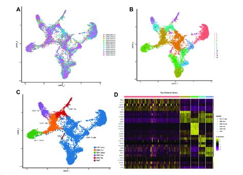 Identification Of Trm Marker Genes Via Scrna Seq Analysis A B T Sne Download Scientific