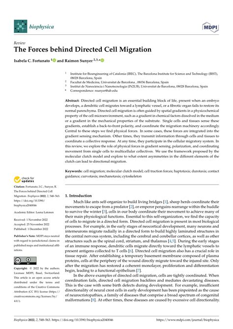 Pdf The Forces Behind Directed Cell Migration