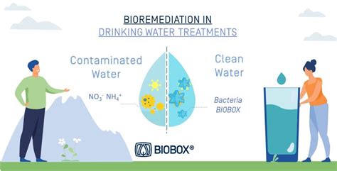 Drinking Water Treatment In Us At Isabelle Odonovan Blog