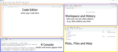 Introduction To R Workshop 2023 Science Cat