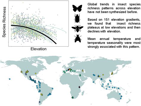 30 Years Of Terrestrial Insect Richness Patterns Across Elevation What Have We Learned A