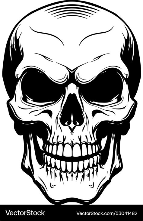 A Skull Design Royalty Free Vector Image Vectorstock