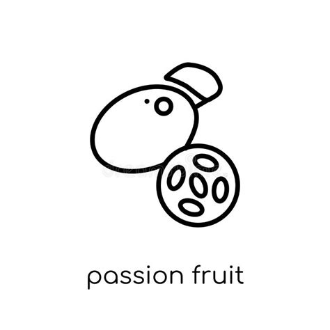 Passion Fruit Outline Vector Stock Illustrations 474 Passion Fruit