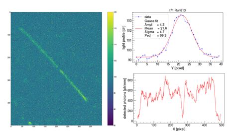 Nuclear Recoil In Lemon 125 µm Resolution Produced By A Neutron Of Download Scientific