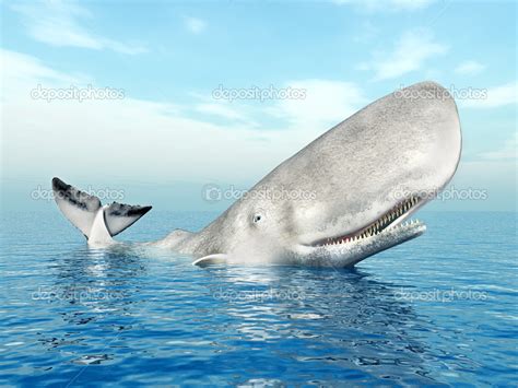 Sperm Whale Porn Sex Photos