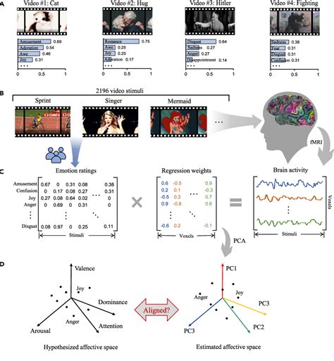 Figure 1 From Topographic Representation Of Visually Evoked Emotional Experiences In The Human