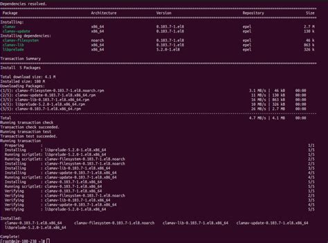 Scanning For Malware By Using Clamav Scan E2e Networks Documentation