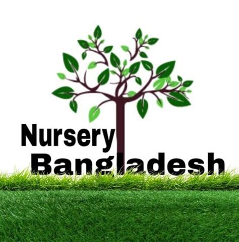 Nursery Bangladesh নার্সারি বাংলাদেশ Rajshahi