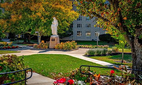 Cincinnati Business Courier How Mount St Joseph University Defies