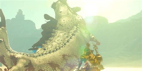 野外的呼吸：最好的老板打架，排名