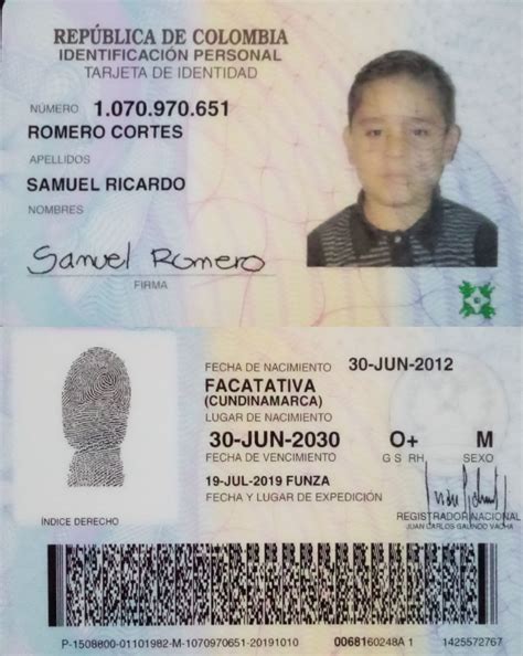Tarjeta De Identidad Pdf