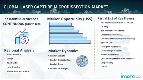 Laser Capture Microdissection Market Size And Report 2024 2032