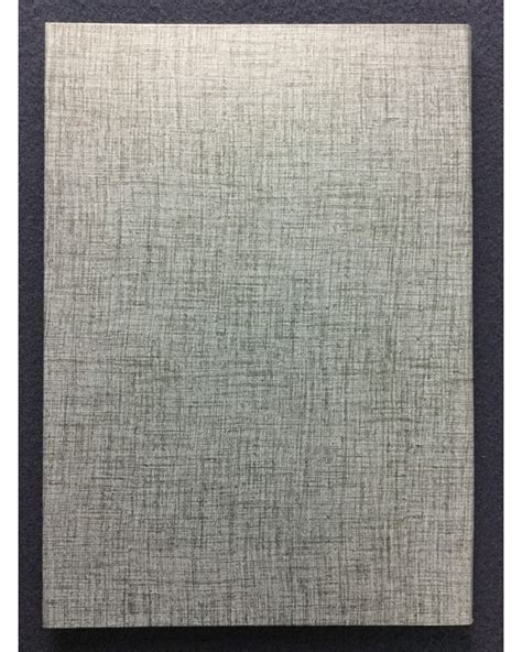 Leslie Turtle Fantasy And Passion 1990