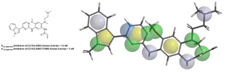 Modern Medicines Osimertinib Mutant Selective Egfr Inhibitor Kinase Inhibitor Orphan Drug