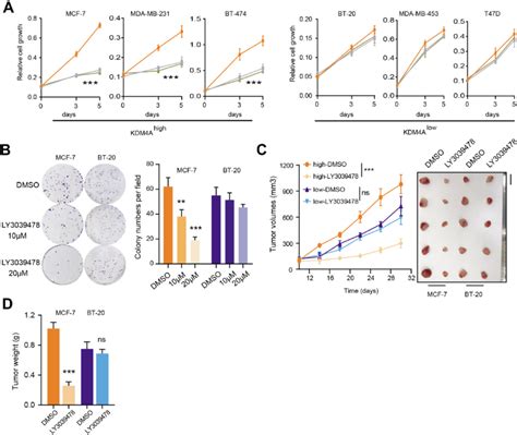 Notch1 Inhibitor Ly3039478 Is Effective To Suppress Kdm4a High Bca
