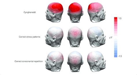 Topographic Maps Of Erp Difference Waves In The P3b Analysis Window Download Scientific