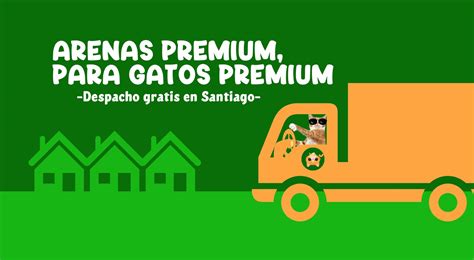 Gato Raul Providencia